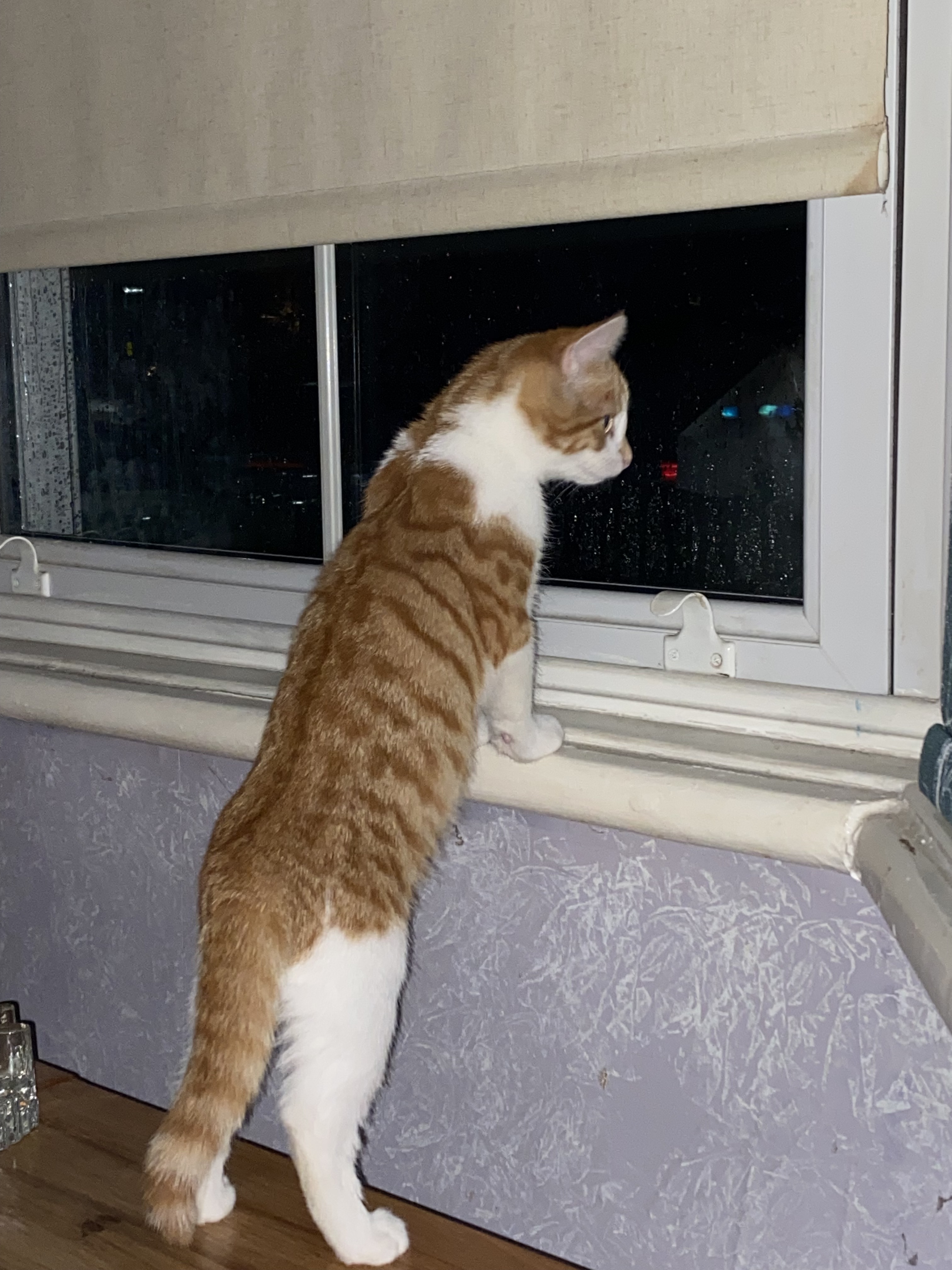 Fun and Games… – Jaye Marie and Anita Dawes