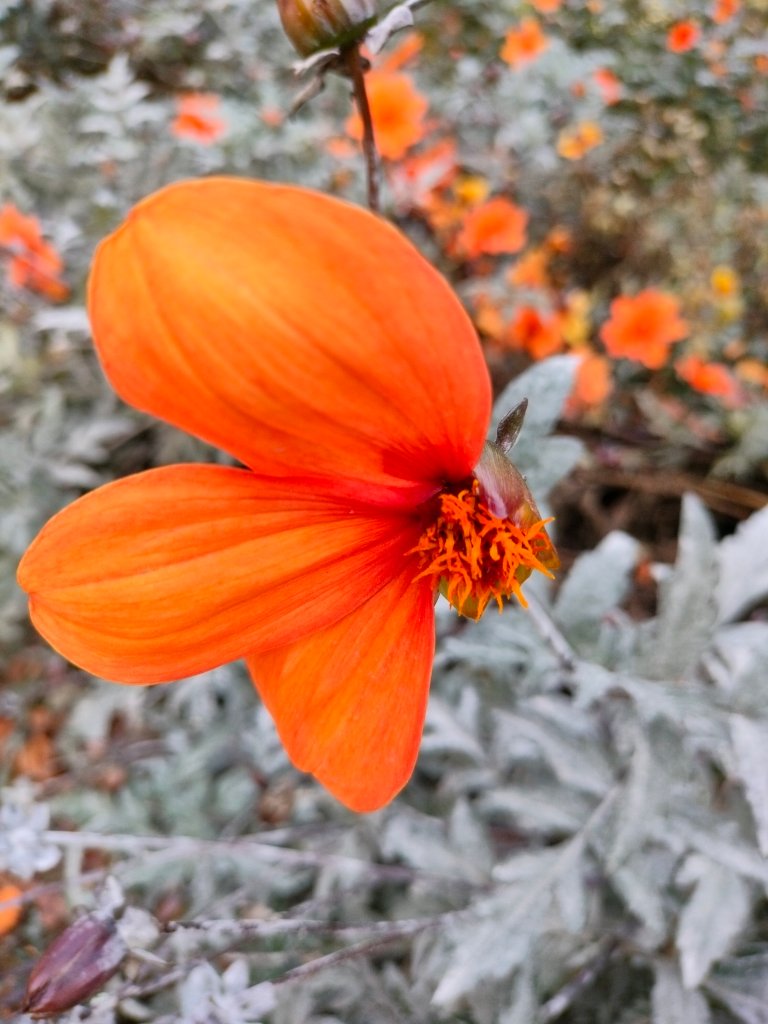 You’d think ~ free verse – Jaye Marie and Anita Dawes